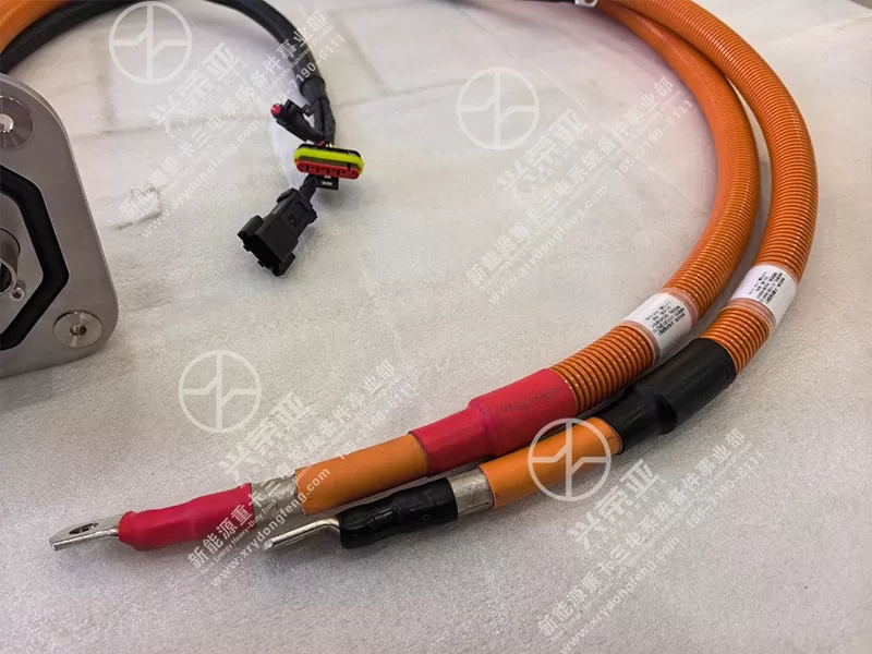 Dongfeng New Energy Vehicle-Side Connector OE C00204.019800 | High ...